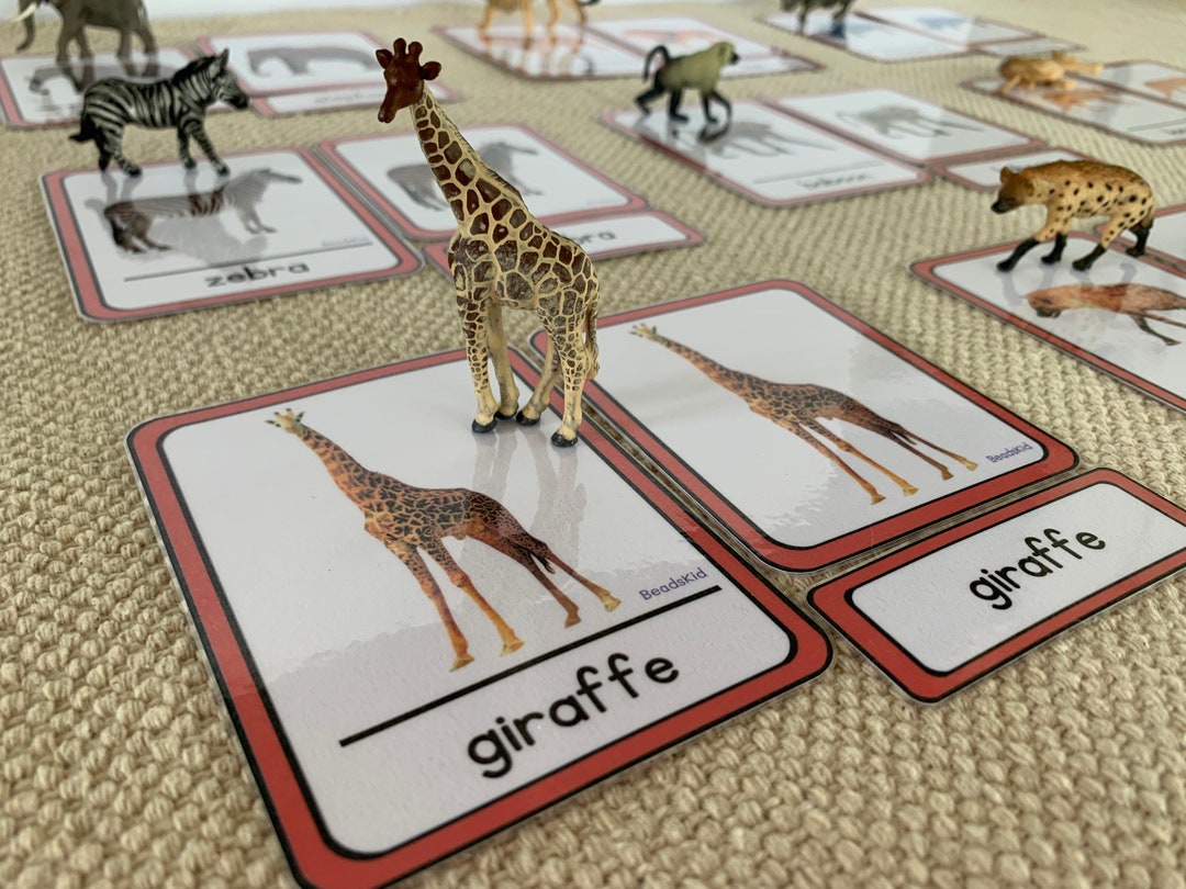 Montessori African Animals-3 Part Cards-three Part Cards-montessori ...