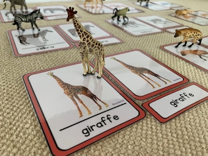 Animals Matching Skin Pattern Learning Game Toddler Pre-k - Etsy Canada