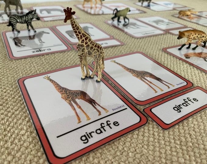 Montessori African Animals-3 Part Cards-three Part Cards-montessori ...
