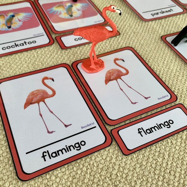 Montessori Toddler - Etsy