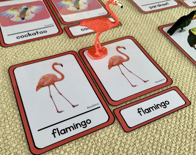 Montessori Exotic Birds-3 Part Cards-three Part Cards-montessori Cards ...