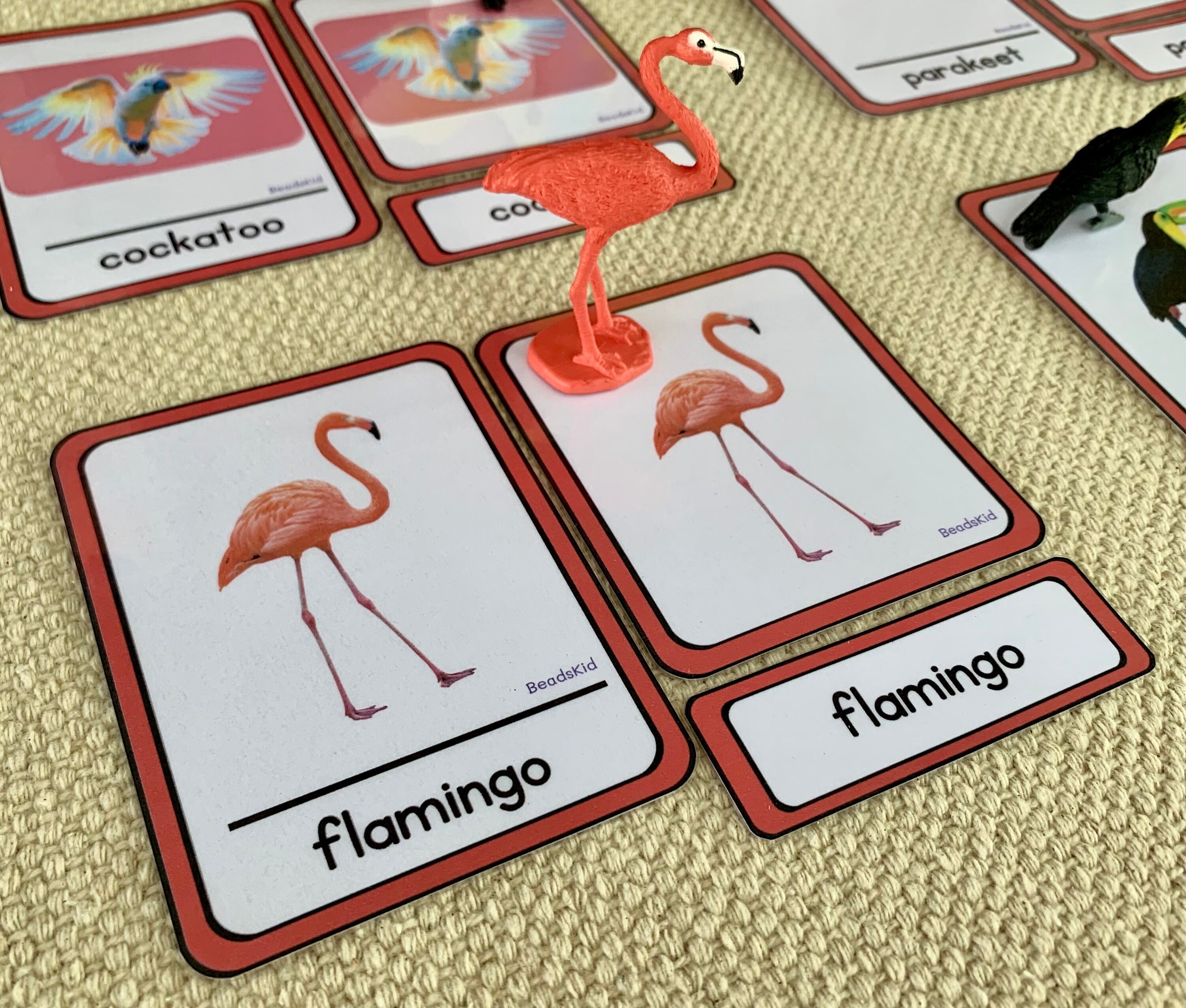 Montessori Exotic Birds-3 Part Cards-three Part Cards-montessori Cards ...