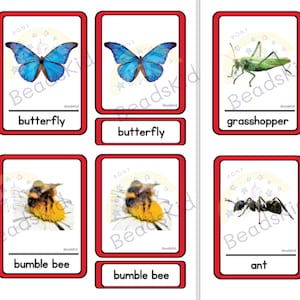 Montessori Insects-3-part Cards-three Part Cards-montessori Cards and ...
