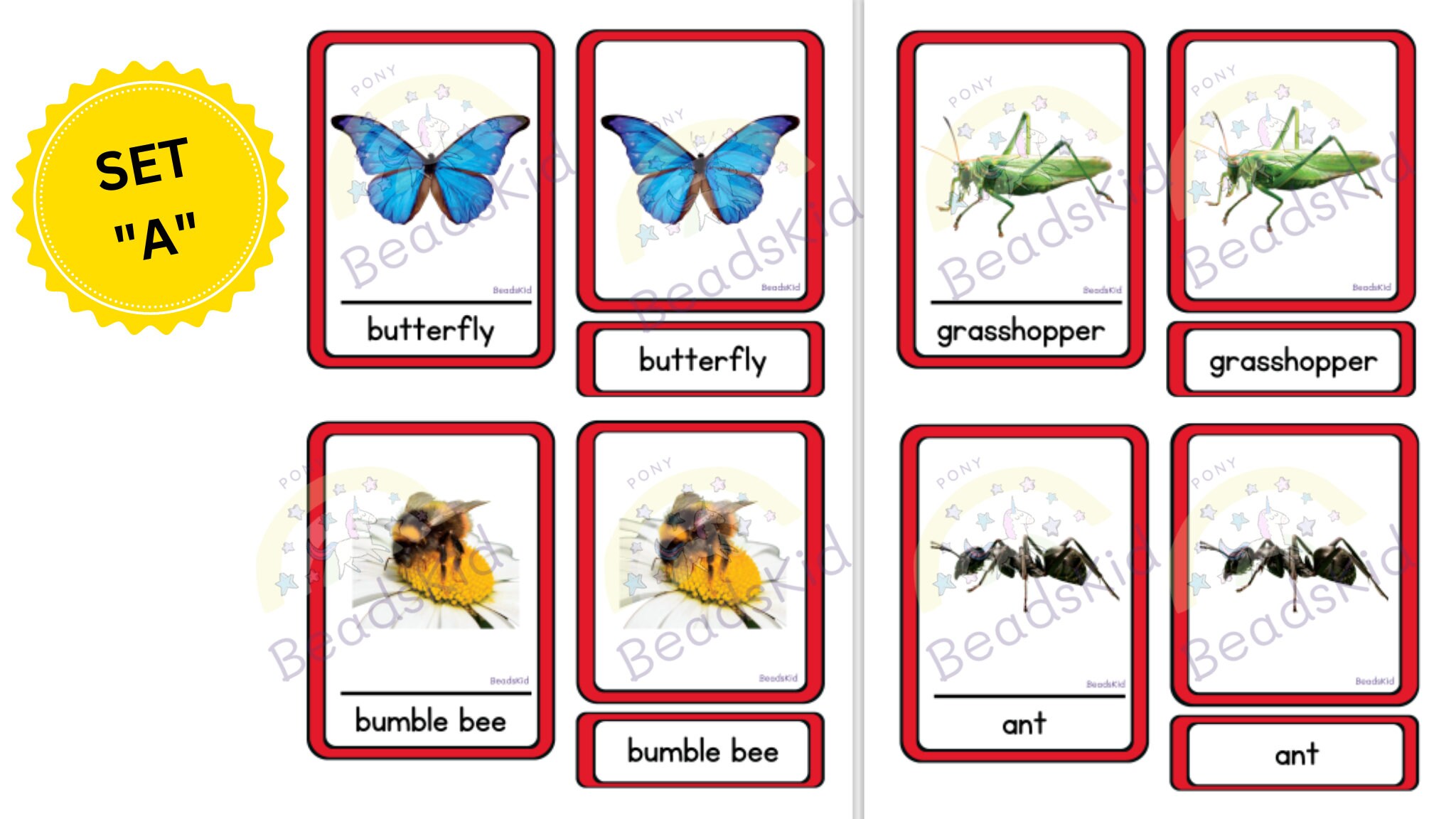 Montessori Insects-3-part Cards-three Part Cards-montessori - Etsy