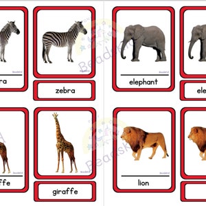 Montessori African Animals-3 Part Cards-three Part Cards-montessori ...