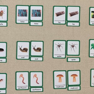 Montessori 3 Part Cards Outside Learning Nature Learning - Etsy