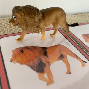 Montessori African Animals-3 Part Cards-three Part Cards-montessori ...