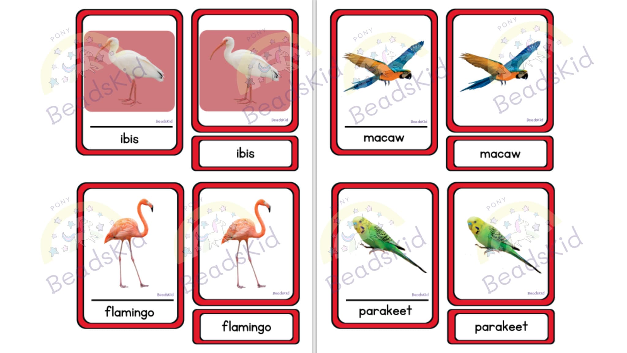 Montessori Exotic Birds-3 Part Cards-three Part Cards-montessori Cards ...