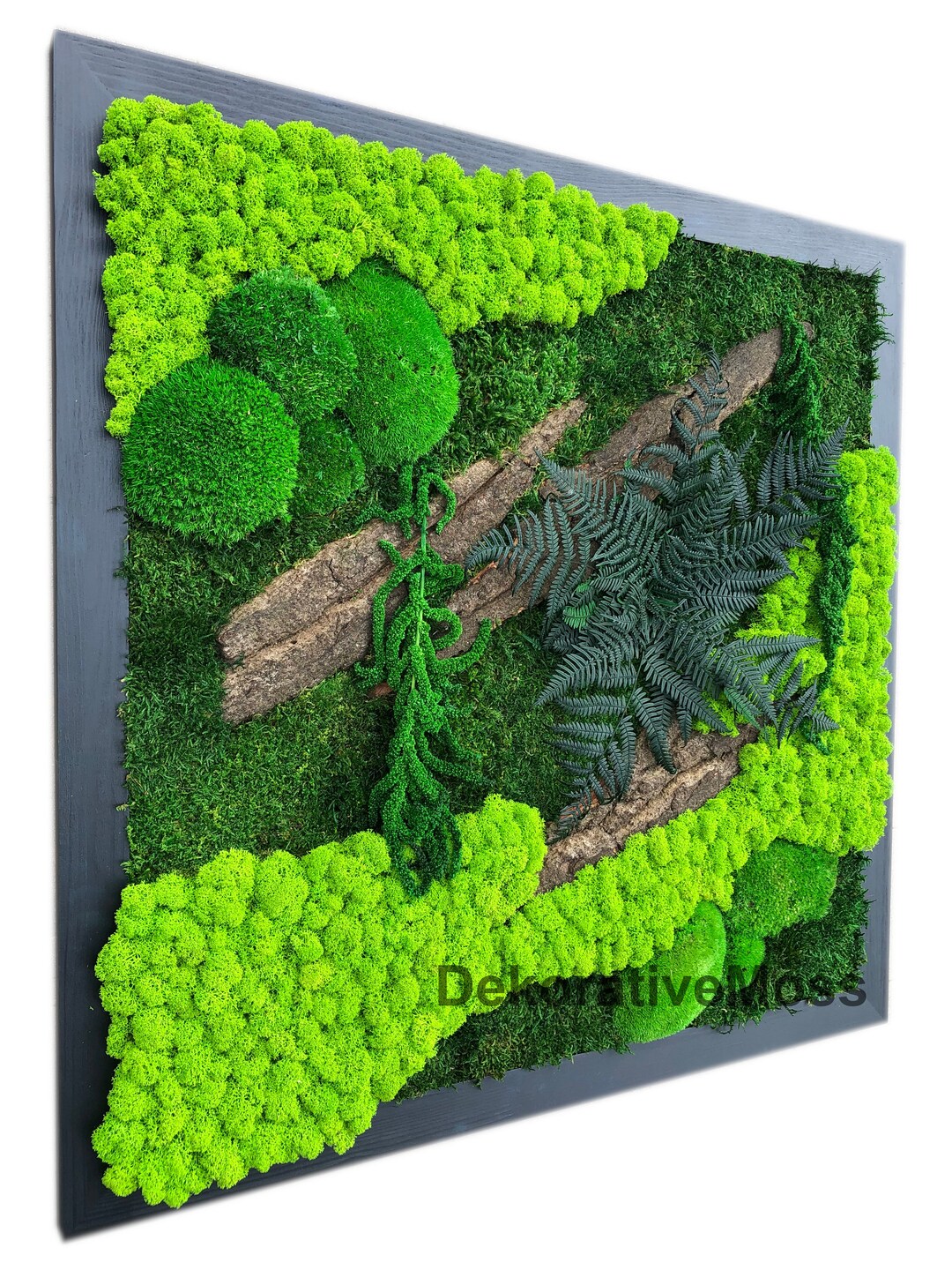 Moss Image With Preserved Spherical and Flat Moss, Image of Moss ...