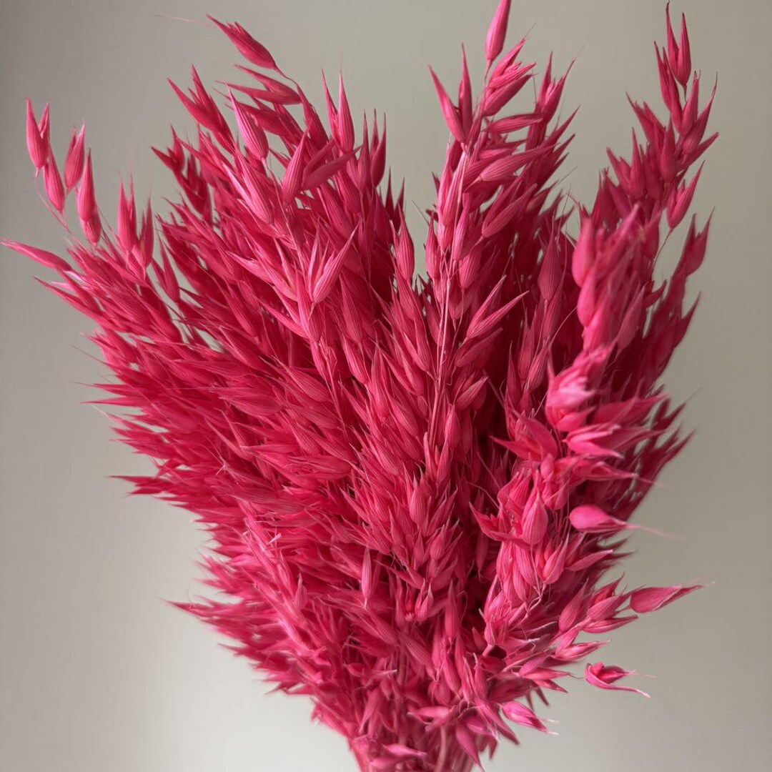 Dried Oat Fuchsia, Dried Flowers, Floral Wedding Decor, Dried Flowers ...