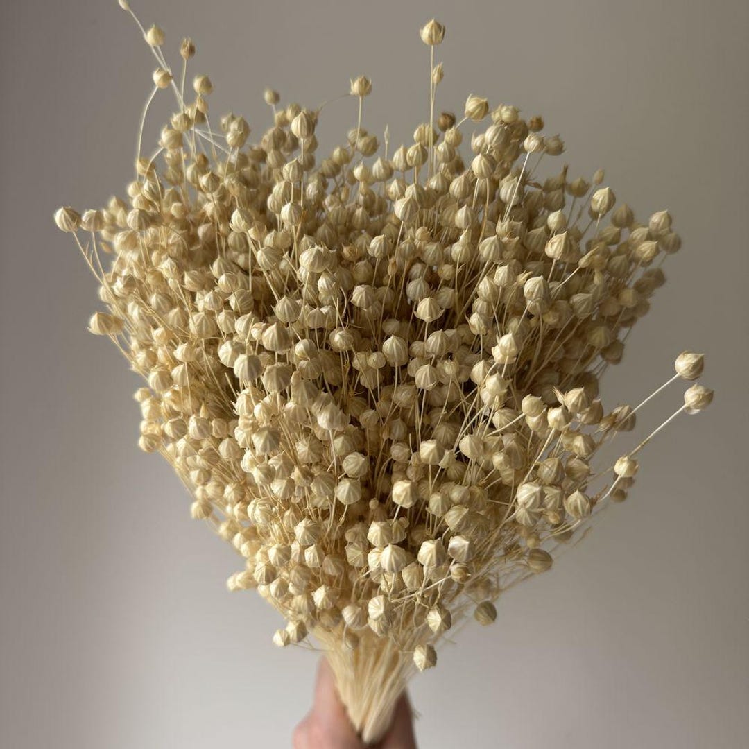 Dried Flax Natural, Bleached, Dried Flowers, Floral Wedding Decor ...