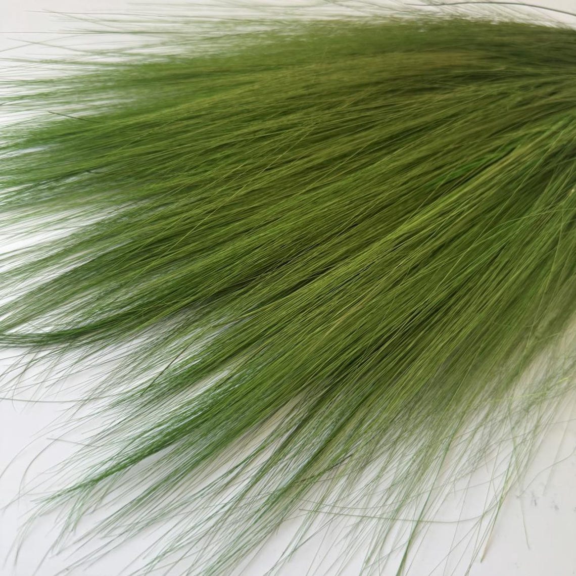 Preserved Grass, Stabilized Grass, for Bouquets, for Picture of Moss ...