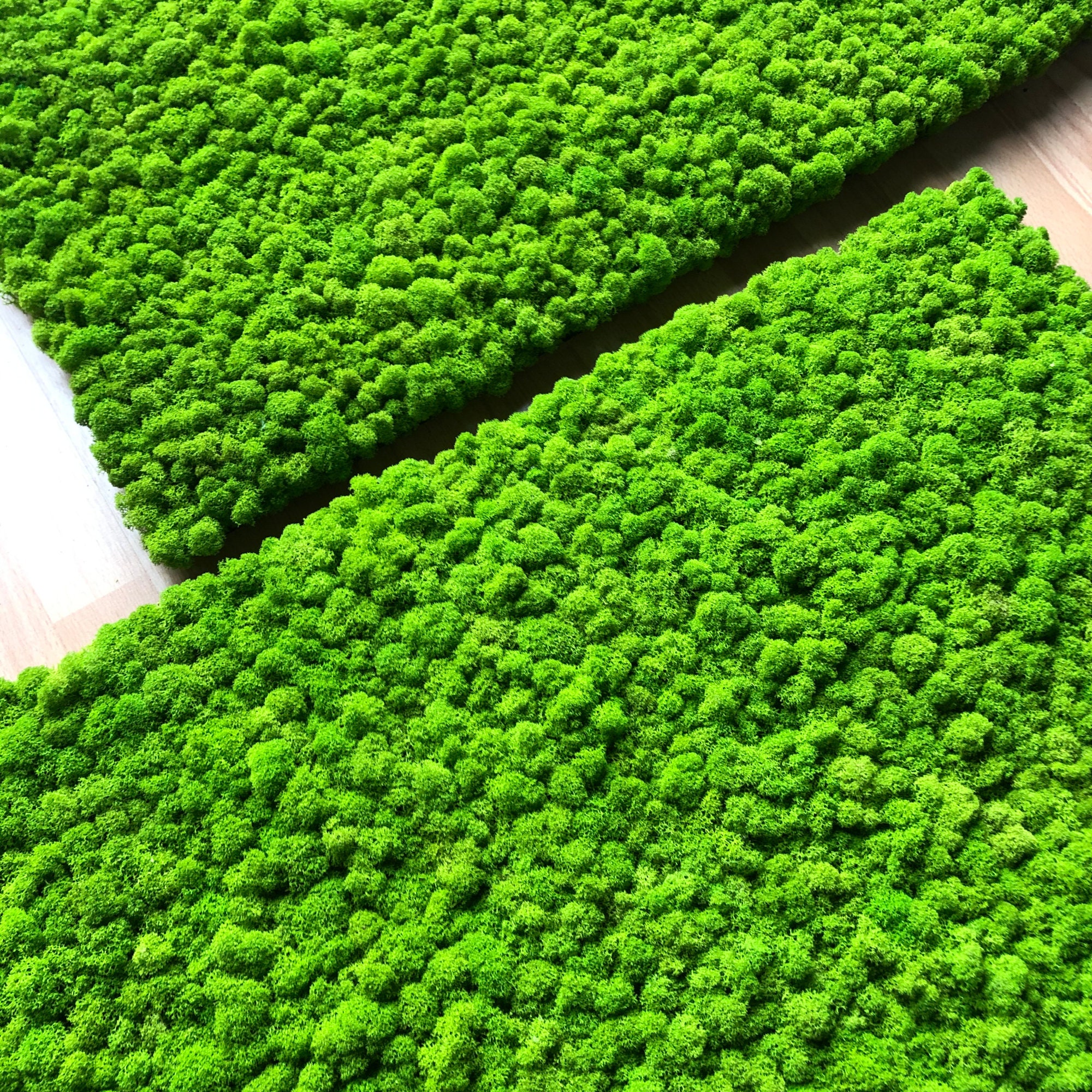 Green Wall Panel Moss Tile Panel With Reindeermoss - Etsy