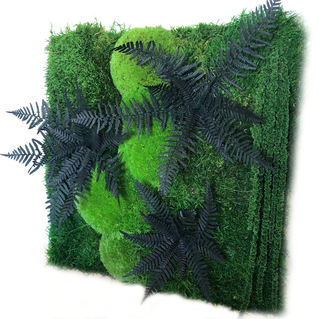 Moss Image With Preserved Ball Moss and Flat Moss, Image of Moss, Fern ...