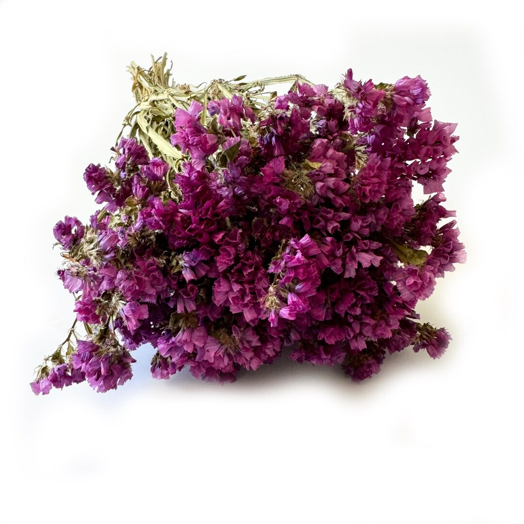 Dried Statice Limonium, Dark Pink, Flowers, Home Decor, Dried Flowers ...