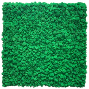 Green Wall Panel, Moss Tiles, Panel With Reindeermoss, Preserved Moss ...