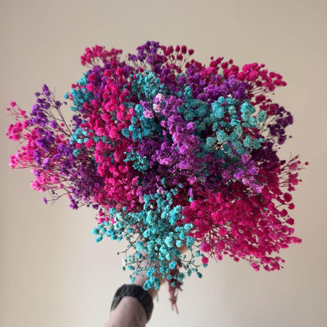 Preserved Baby's Breath | Purple, Light Blue, Fuchsia | Stabilized ...