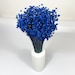 800 Dried Glixia Flowers, Natural Bouquet of Flowers, Wedding ...