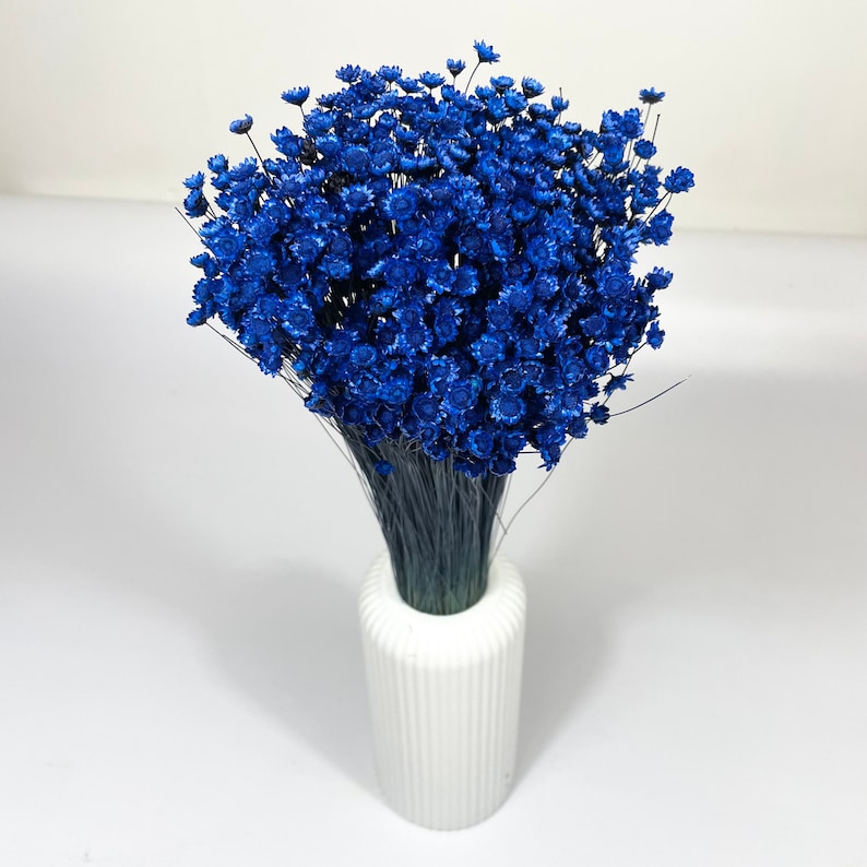 800 Dried Glixia Flowers, Natural Bouquet of Flowers, Wedding ...