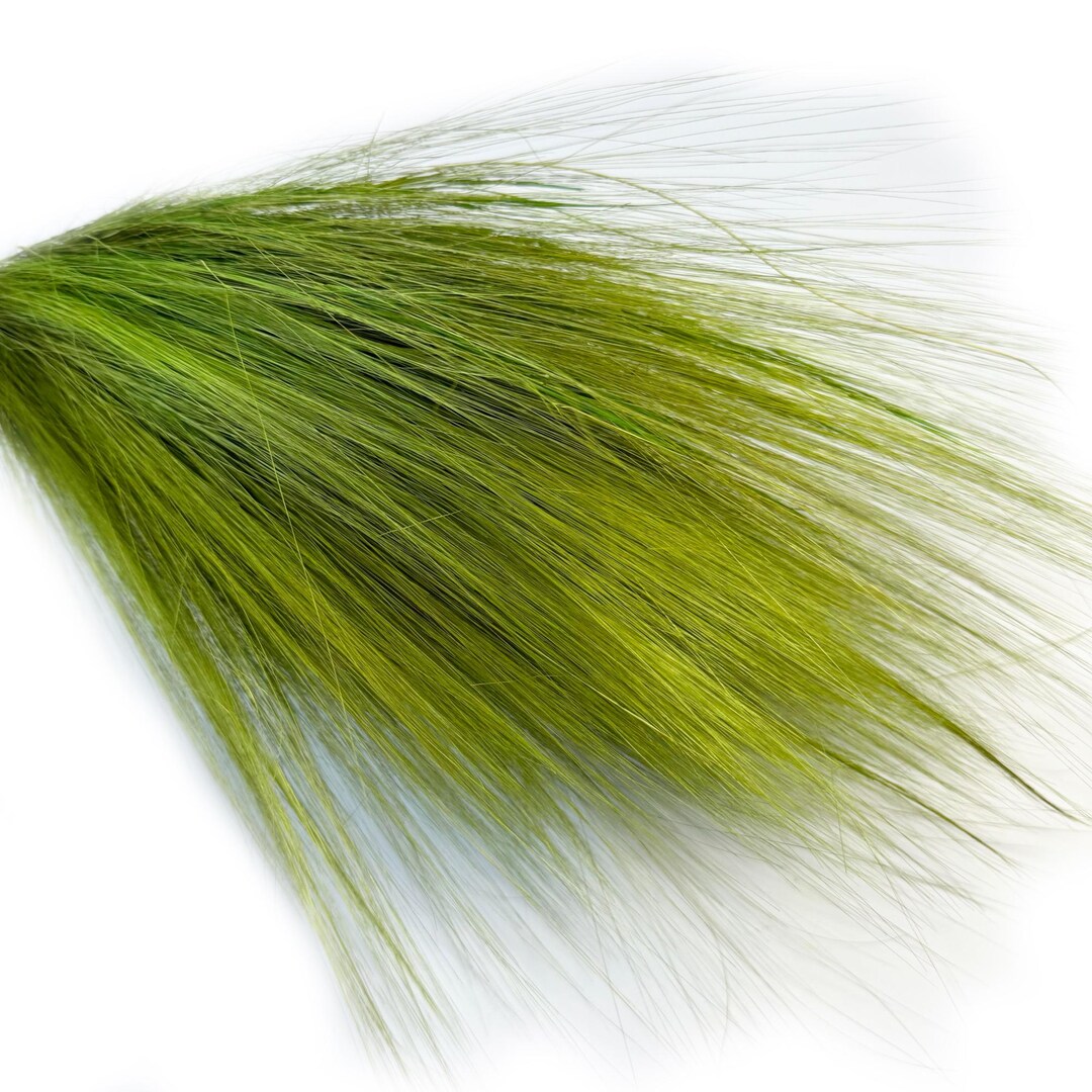 Preserved Grass, Stabilized Grass, for Bouquets, for Picture of Moss ...