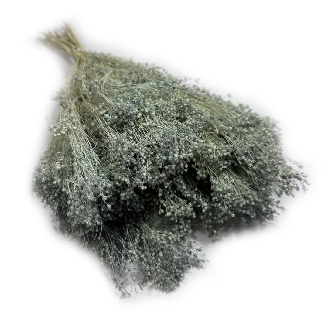 Dried Broom Bloom Grey, Dried Flowers, Floral Wedding Decor, Dried ...