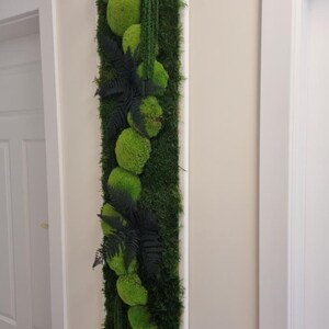 Moss Image With Preserved Spherical and Flat Mosses, Image of Moss ...