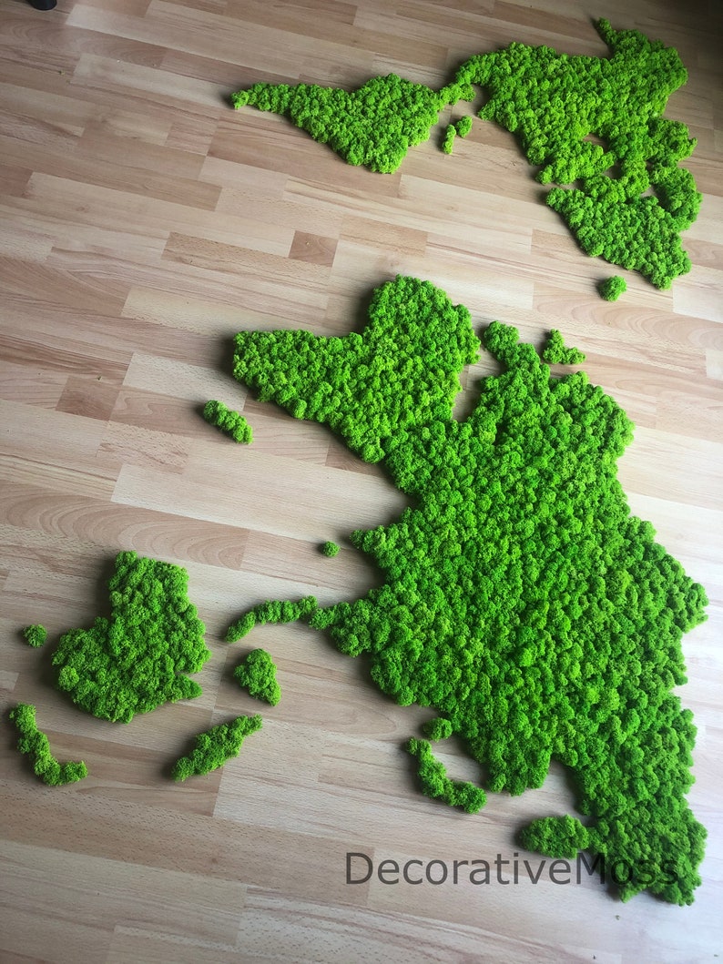 World Map With Moss, World Map With Reindeermoss on a Self-adhesive ...
