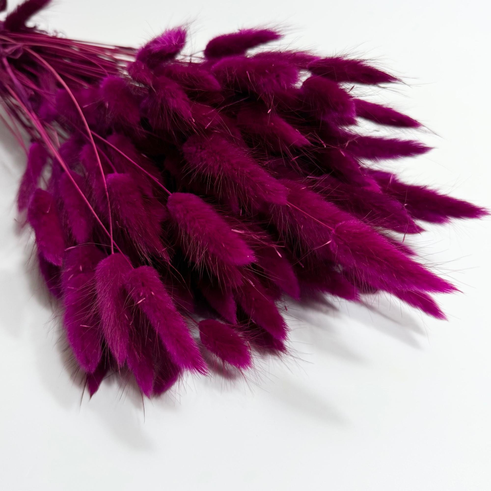 150 Lagurus Dark Fuchsia, Bunny Tails, Dried Flowers, Wedding, Cake ...