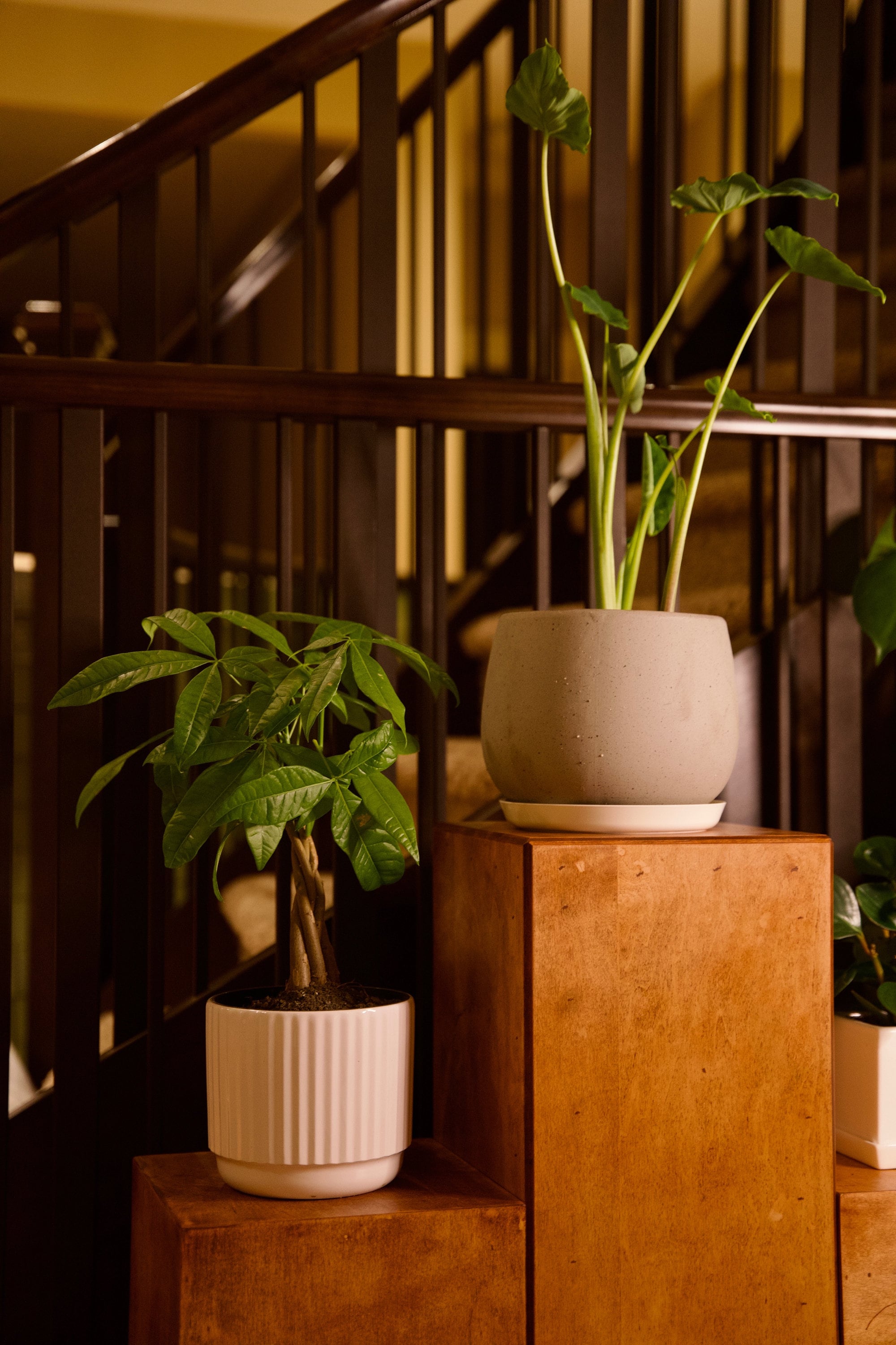 Custom Handcrafted Plant Stand - Etsy