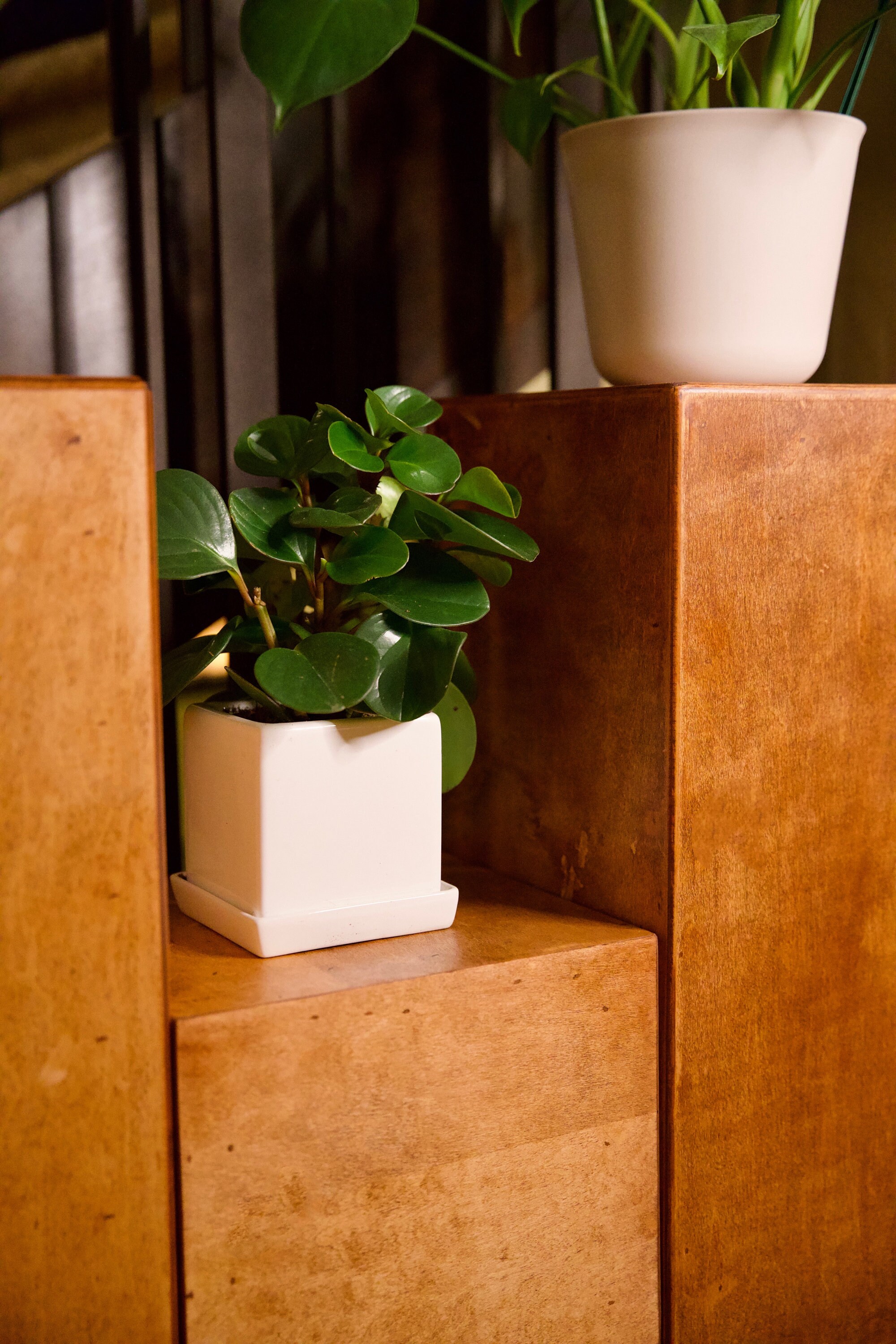 Custom Handcrafted Plant Stand - Etsy