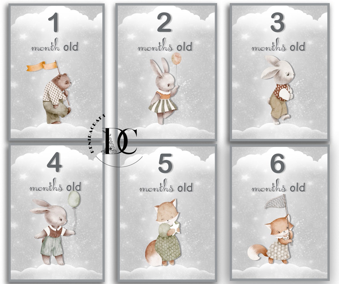 Baby Monthly Milestone Card Printable Baby Month Card - Etsy