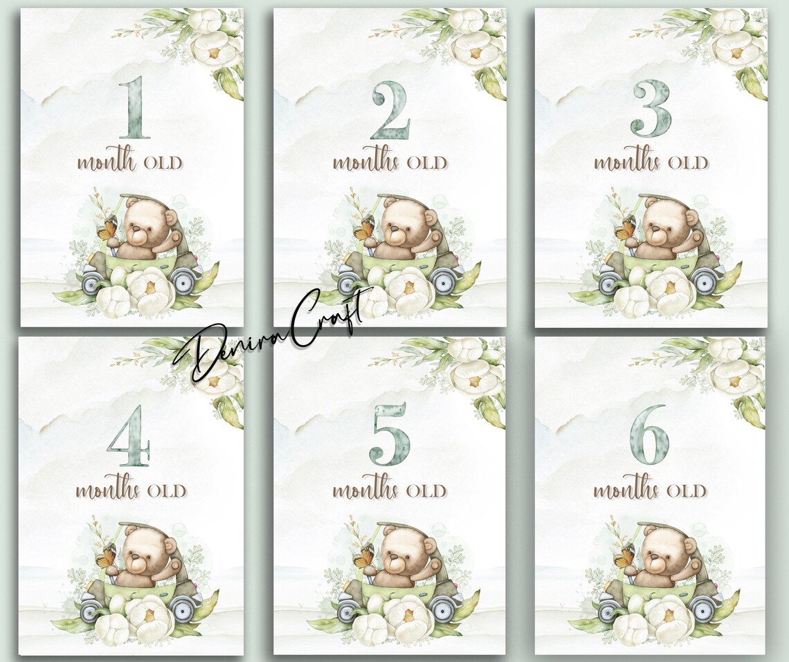 Baby Monthly Milestone Card Printable Baby Month Card - Etsy