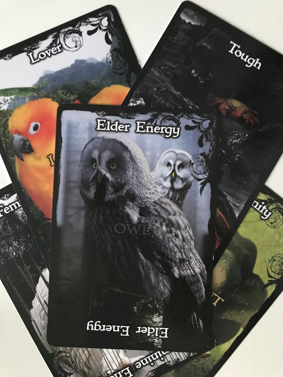 Animal Spiritual Guidance and Aspects Oracle Psychic Cards - Etsy
