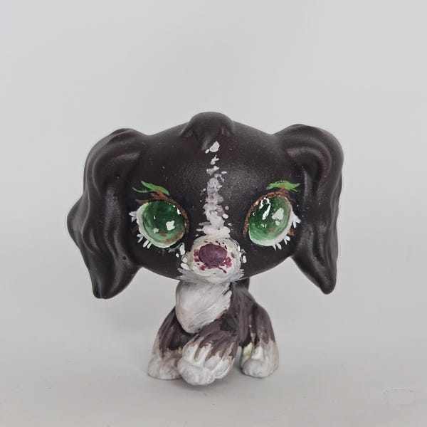 Lps Customs - Etsy