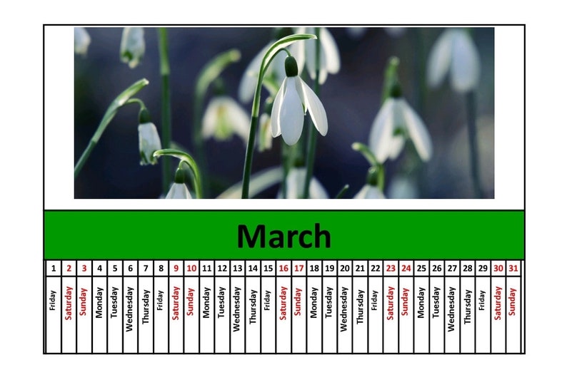 Montessori Linear Calendar 2024 - Etsy