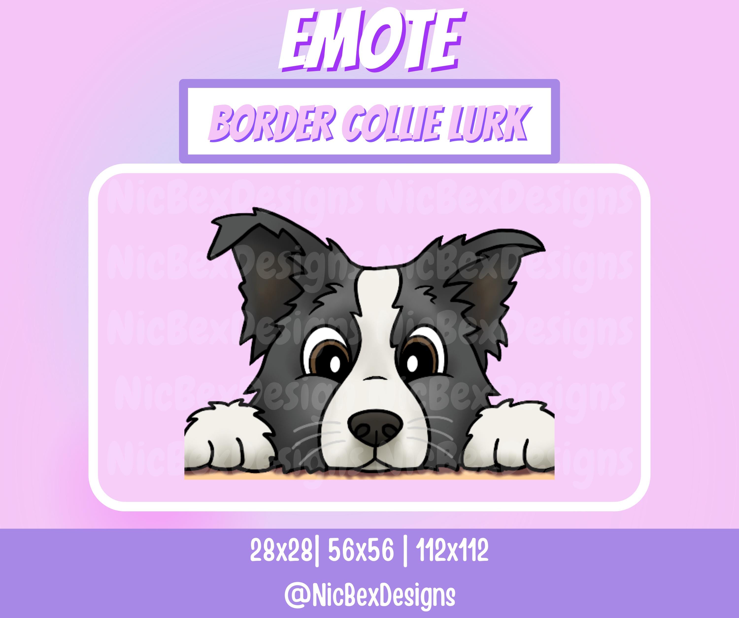 Border Collie Lurk Twitch Emote / Streamer / Youtube / Dog Emote / Lurk ...