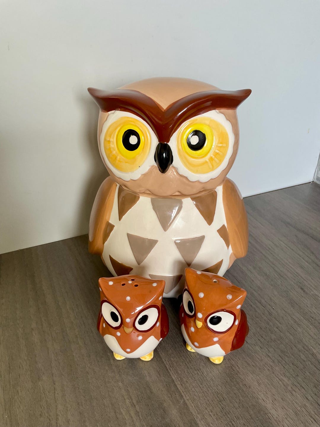 Barney Owl Large Storage Jar and Baby Owl Salt and Pepper Pots - Etsy