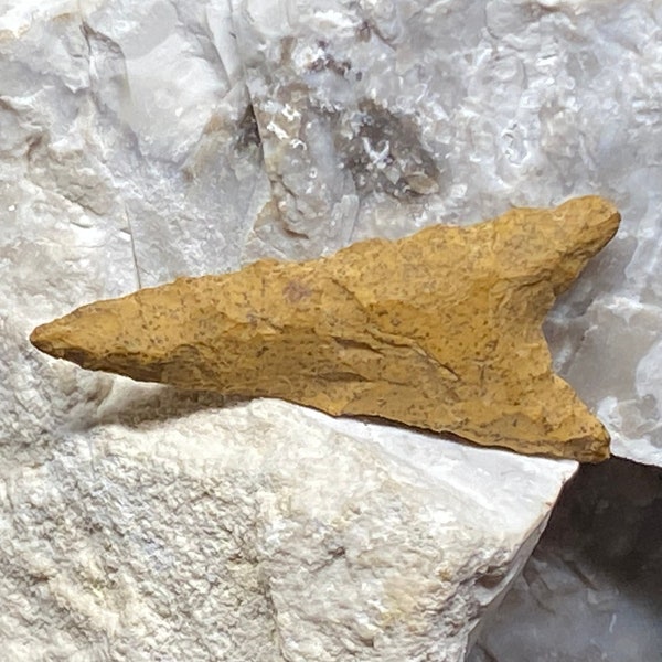 Indian Arrowhead - Etsy