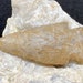 Authentic Ensor Split Base Projectile Point Ex. Arkansas River Valley ...