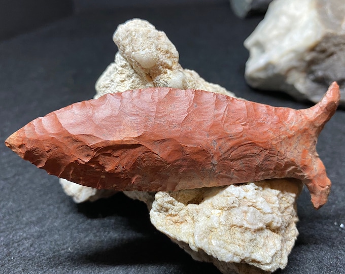 Authentic Simpson Projectile Point - Bull Tongue Sub-type - Discovered ...