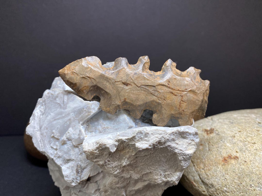 Very Nice, Large Multi-notched Eccentric Arrowhead - Archaic Native ...