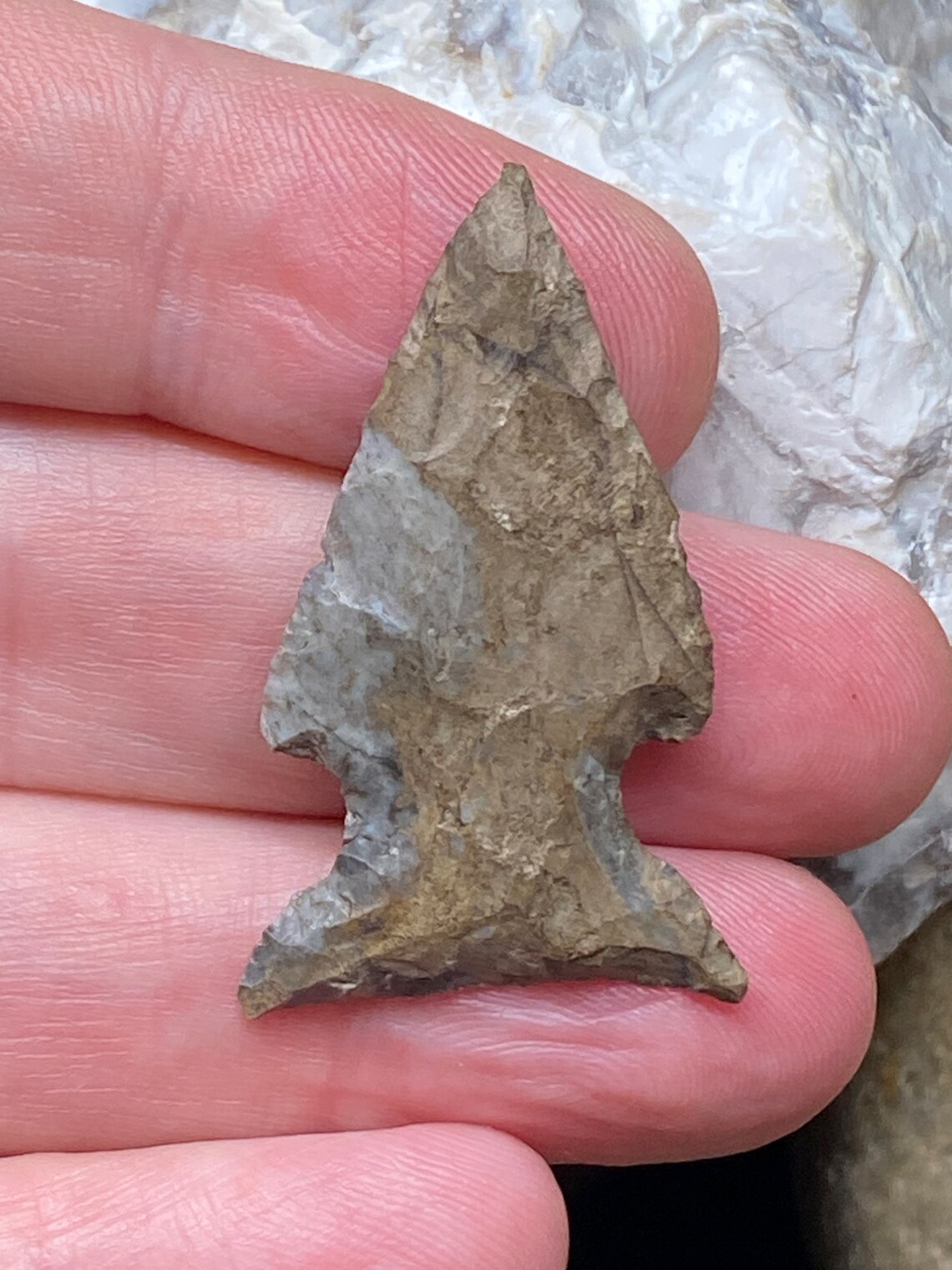 Desert Delta Side Notch Arrowhead Projectile Point - Ancient Native ...