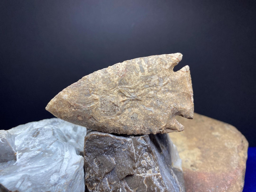 Amazing Large Authentic Kirk Corner Notch Projectile Point - Ancient ...