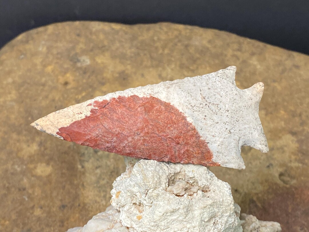 Authentic Pine Tree Projectile Point Ancient Native American Artifact ...