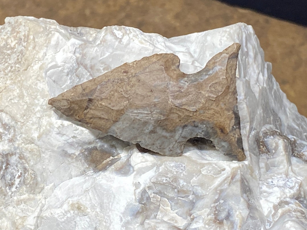 Desert Delta Side Notch Arrowhead Projectile Point - Ancient Native ...