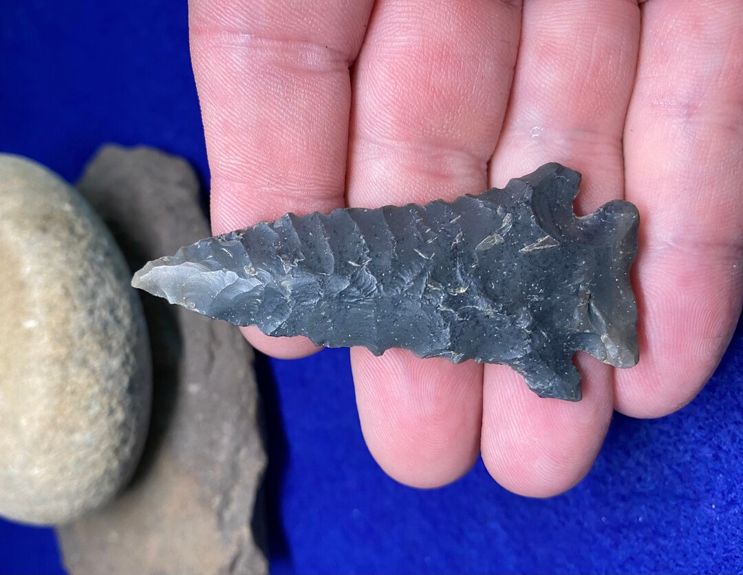 Authentic Hornestone Serrated Pine Tree Projectile Point Ancient Spear ...