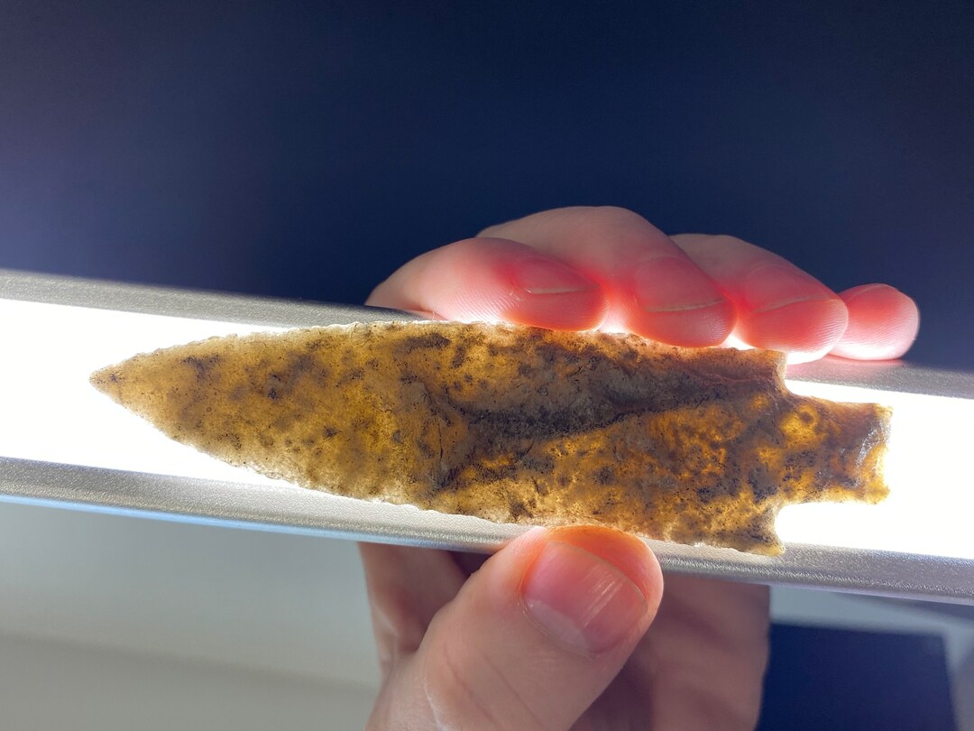 Large, Translucent Delhi Barbed Projectile Point - Ancient Spear Tip ...