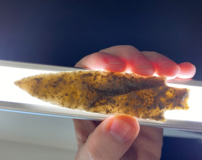 Large, Translucent Delhi Barbed Projectile Point - Ancient Spear Tip ...