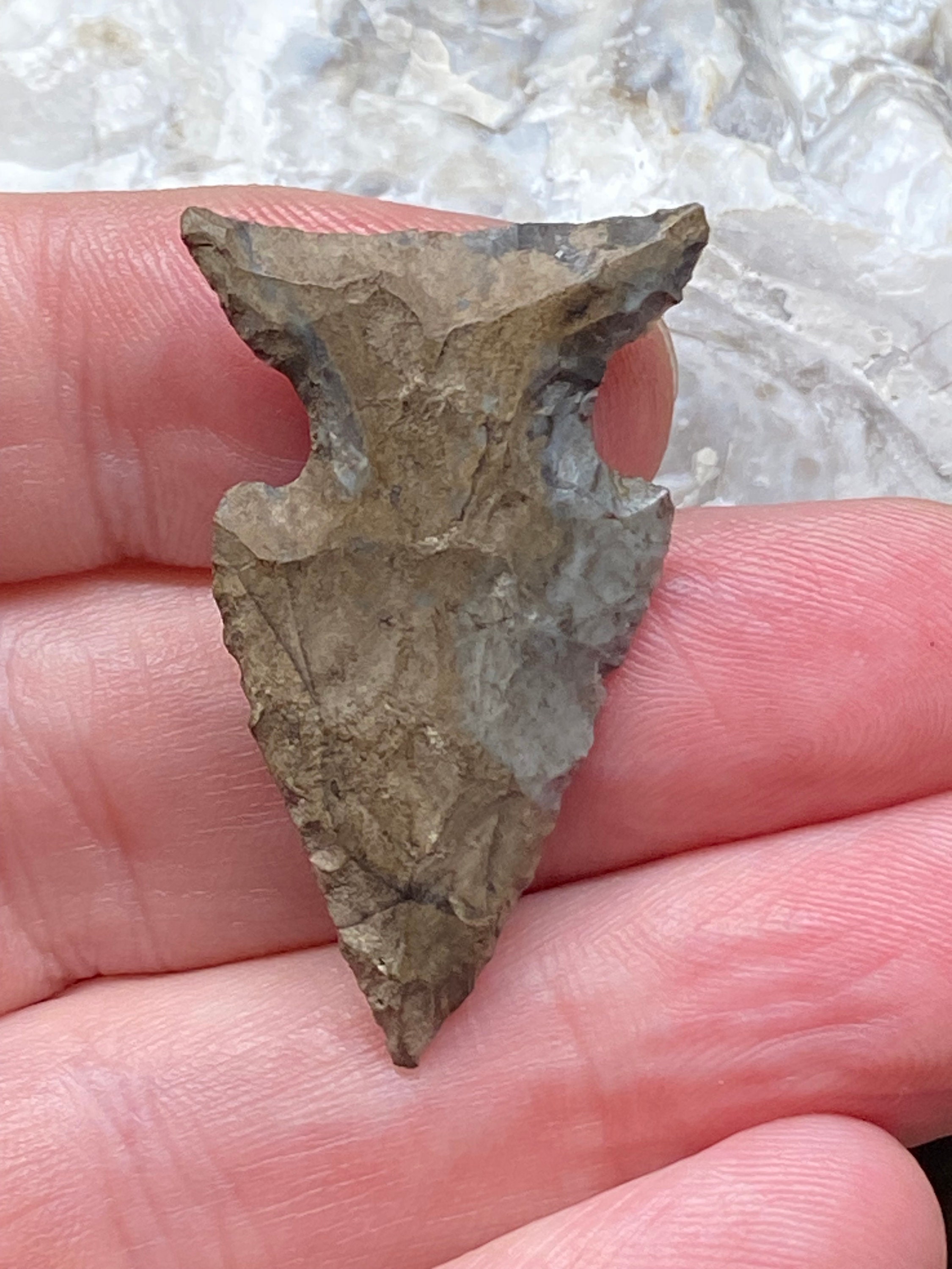 Desert Delta Side Notch Arrowhead Projectile Point - Ancient Native ...