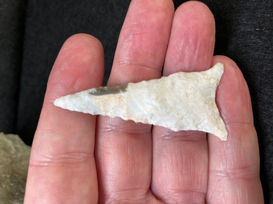 Authentic Dalton Greenbrier Projectile Point Artifact - Ex. Arkansas River Valley Museum ...